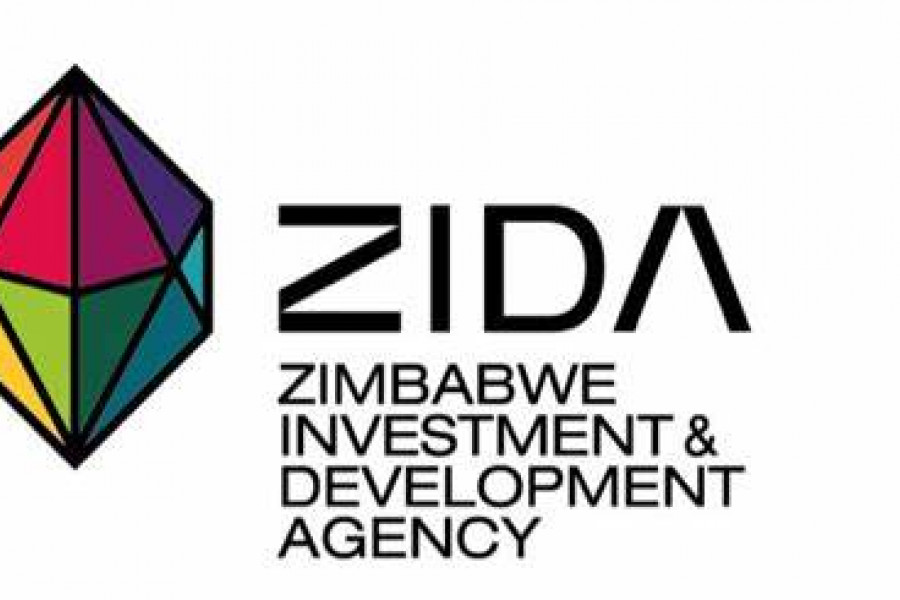 ZIDA Witnesses Exponential 232.85% QoQ Investment Expansion