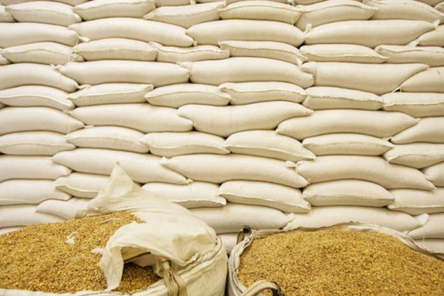 Zimbabwe Records Highest Maize Shipments in 2024, Surpasses US$500 ...