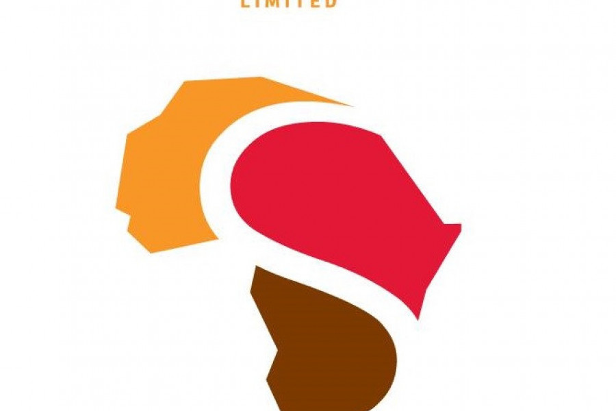 Simbisa Brands Appoints David Mudzengi as New Group Finance Officer ...