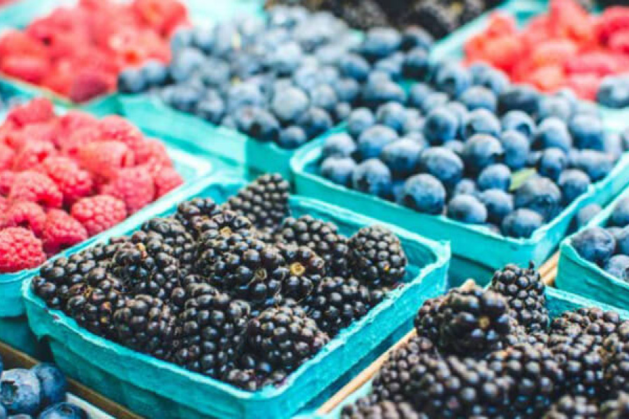 Berry Boom: Zimbabwe Sees 50% Surge in Exports, Reaching 8 Million ...