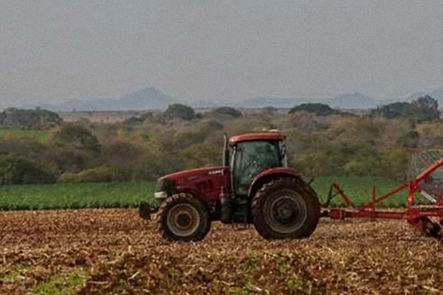 Innscor Invests US$10.4 Million for 2024/25 Summer Season | Equity Axis