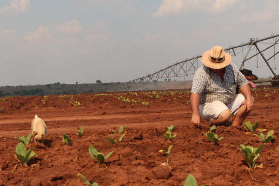 Government Approves $311 Million Compensation for 740 Farms Under ...