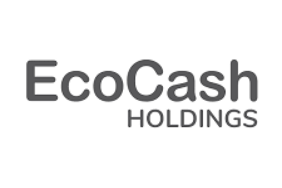 EcoCash Holdings Rebrands to TN CyberTech Investments