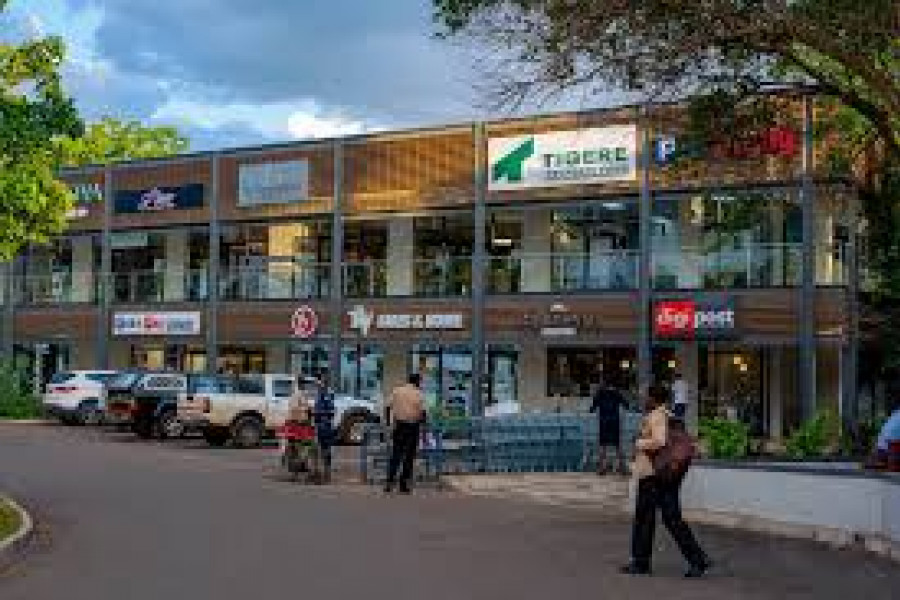 Illicit Capital Floods Zimbabwe’s REITs: Tigere Maintains Full ...