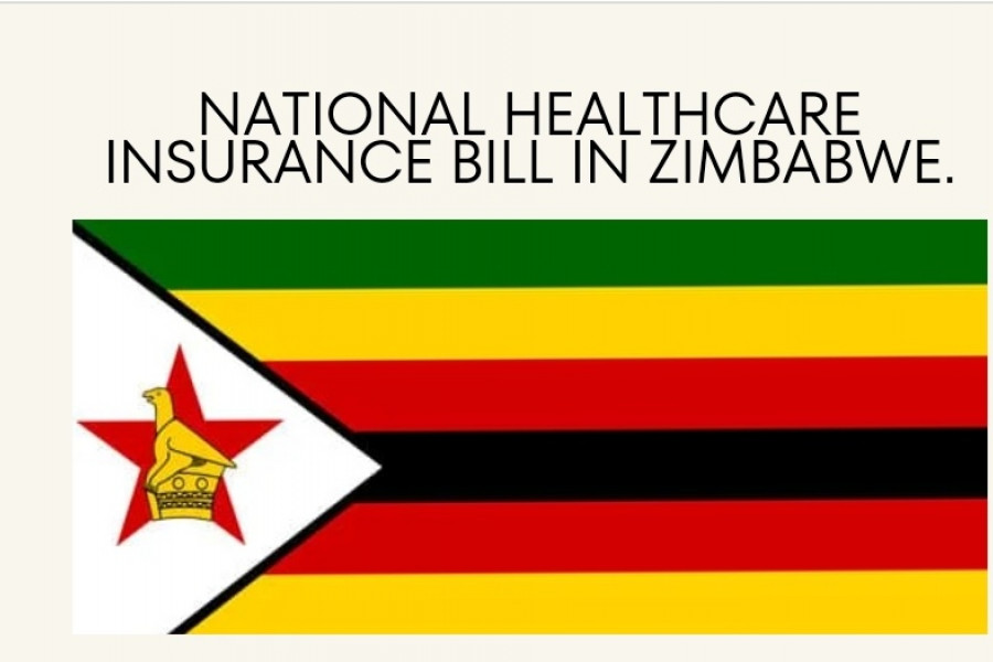 Zimbabwe’s Health Turning Point: Inside the Economics and Humanity of ...