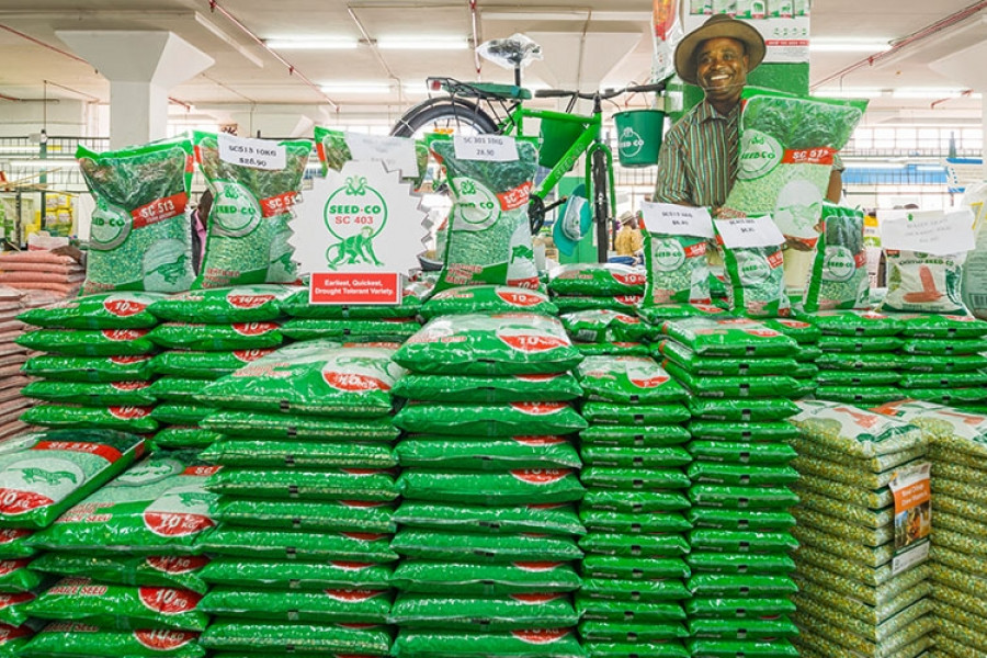SeedCo posts 65% profit rebound amid 88% growth in exports