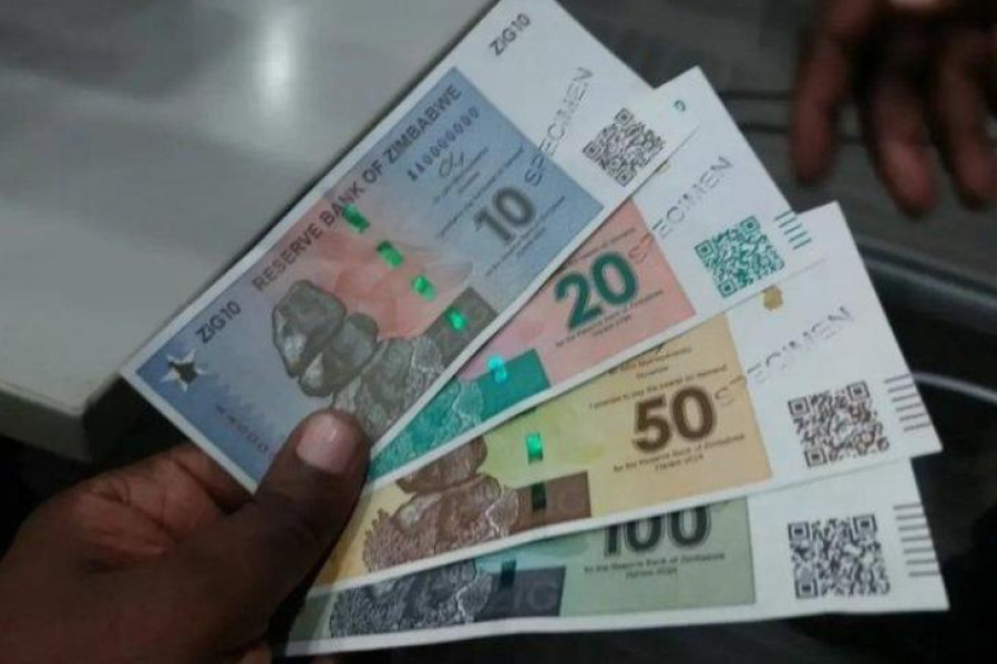 Will Zimbabwe Be Ready to End Dollarization by 2030?
