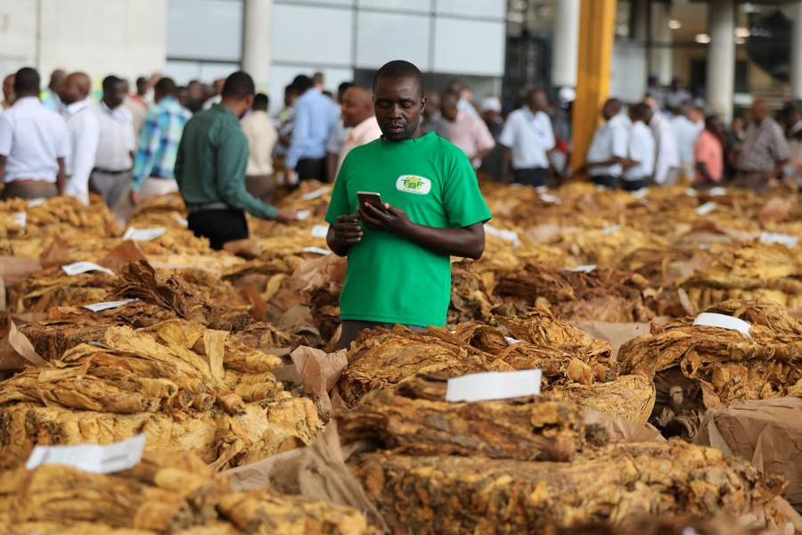 Zimbabwe’s 2026 Tobacco Season Begins | Equity Axis