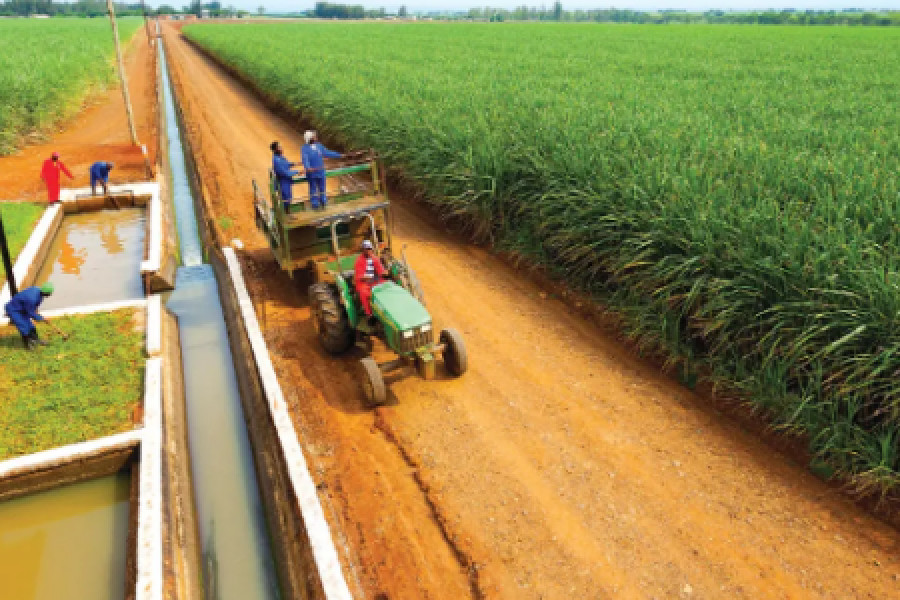 Hippo Valley Estates Limited granted 99-year leases for land in ...