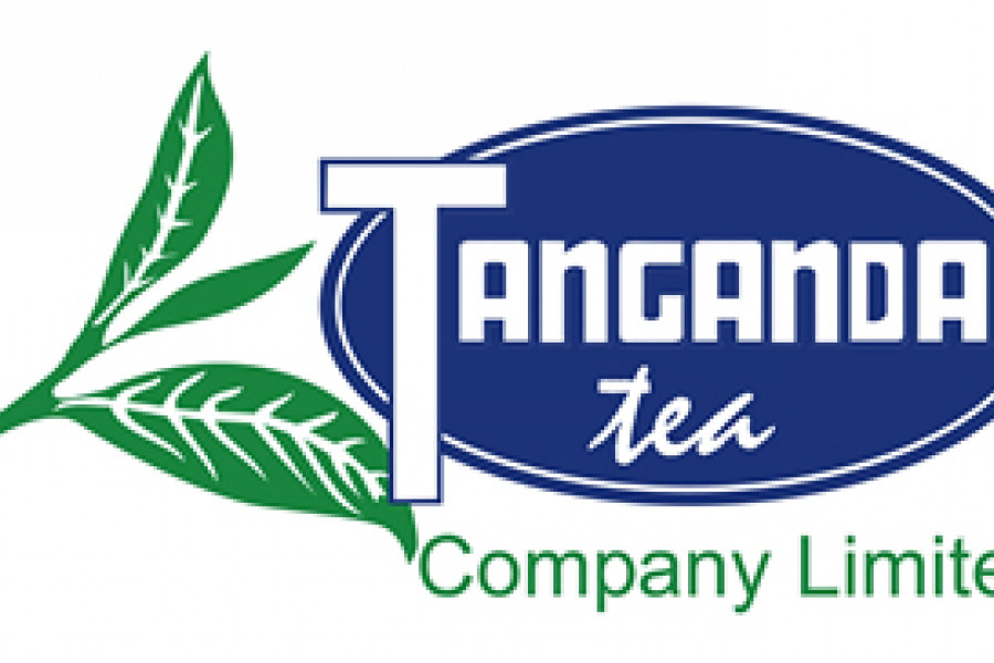 Profit Amid Turmoil: The Case of Tanganda’s HY23 Performance