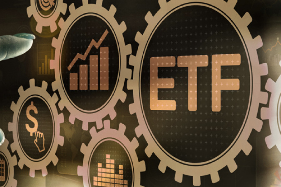 Datvest: Withstanding hardships yet optimistic about the potential for ...