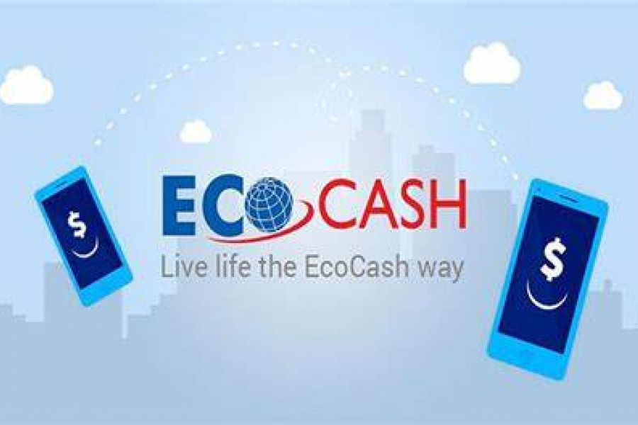 EcoCash Reports First HY-Profit Since 2019, Crosses ZWL100 BN Mark in ...