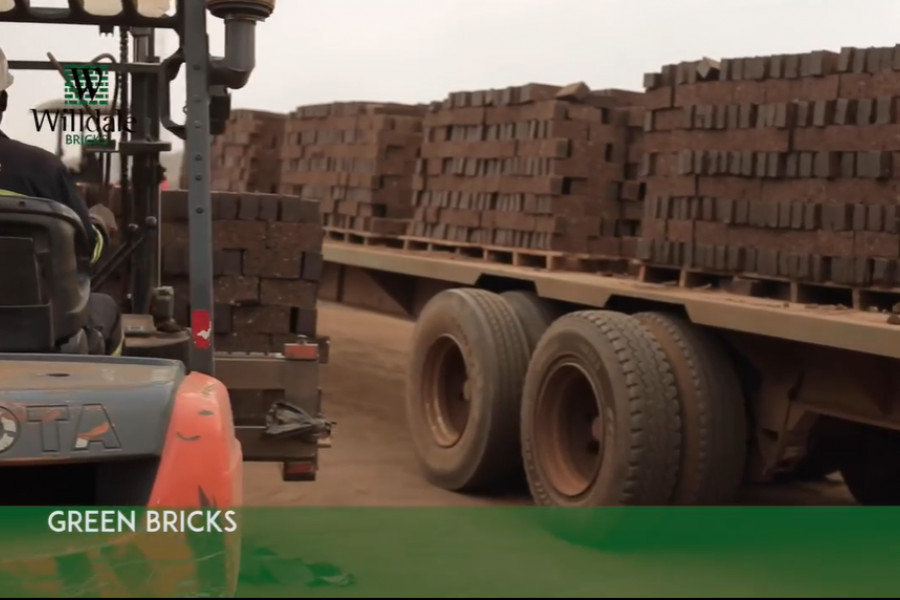 Navigating the Wild Side: Unveiling Zimbabwe's Corporate Landscape ...